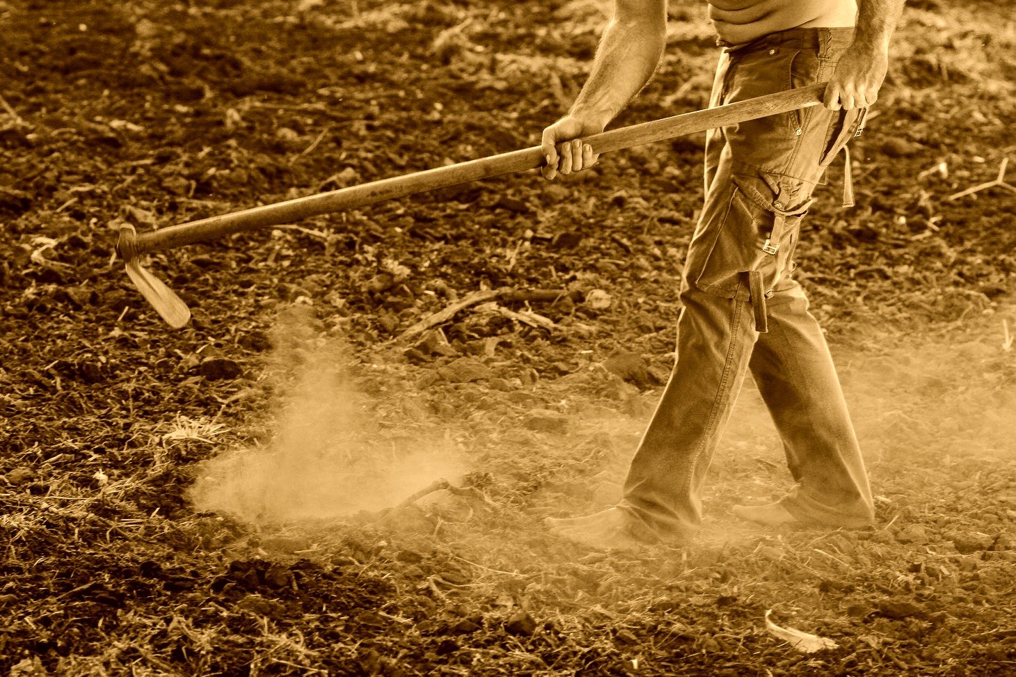 Hombre cava en el patio trasero de su suegra y encuentra una cinta de ...