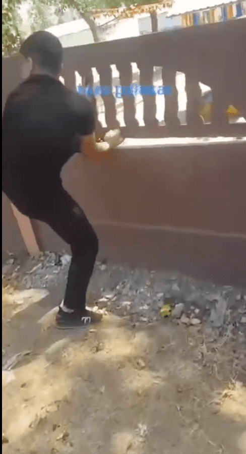 Boy Tries to Vandalize a Fence and Gets What He Deserves