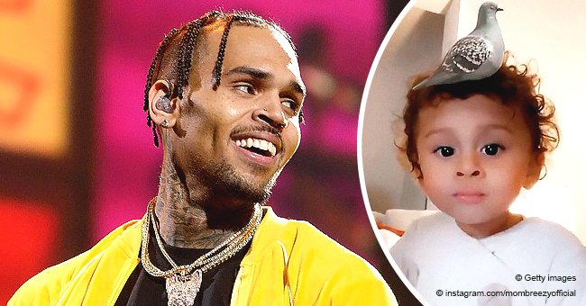 Chris Brown's Son Aeko Melts Hearts Showing His Curly Hair & Saying the ...