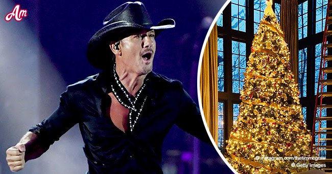 Tim McGraw Impresses Fans as He Shares Photo of His Huge Christmas Tree