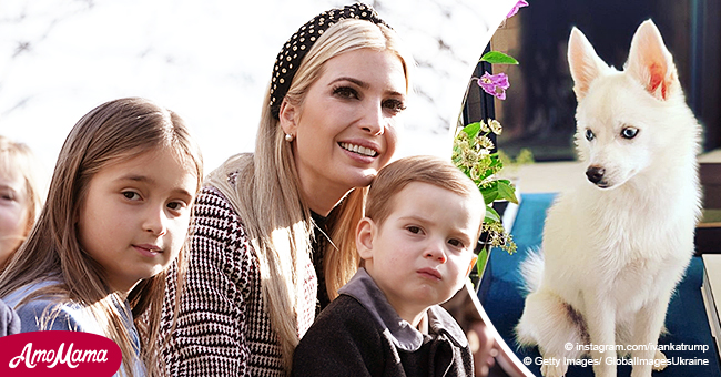 Ivanka Trump Gifts Her Daughter Arabella with a Dog Named Winter
