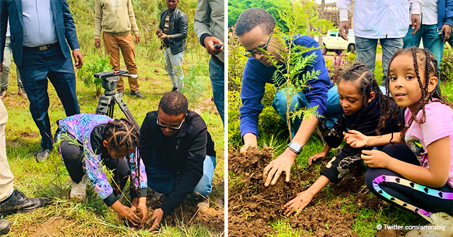 Ethiopia Breaks World Record by Planting over 350 Million Trees in 12 Hours