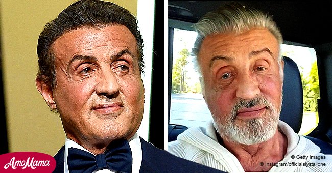 Sylvester Stallone of 'Rambo' Fame Encourages Fans to Keep Punching as ...