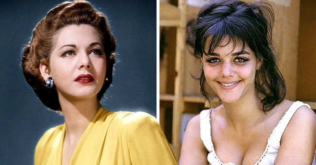 Simon Berryer : zoom sur sa carrière, sa vie et son combat contre l ...