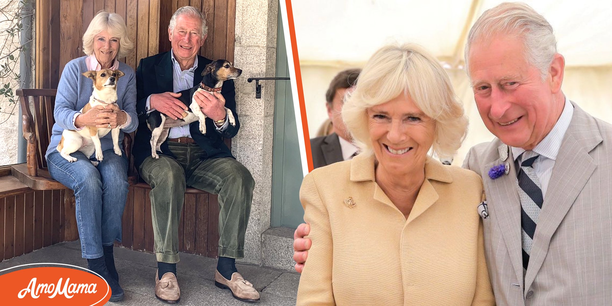 Beth and Bluebell: King Charles III and the Queen Consort’s Dogs They ...