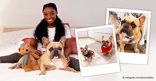 Meet Simone Biles' Cute Pet Dogs Lilo and Rambo
