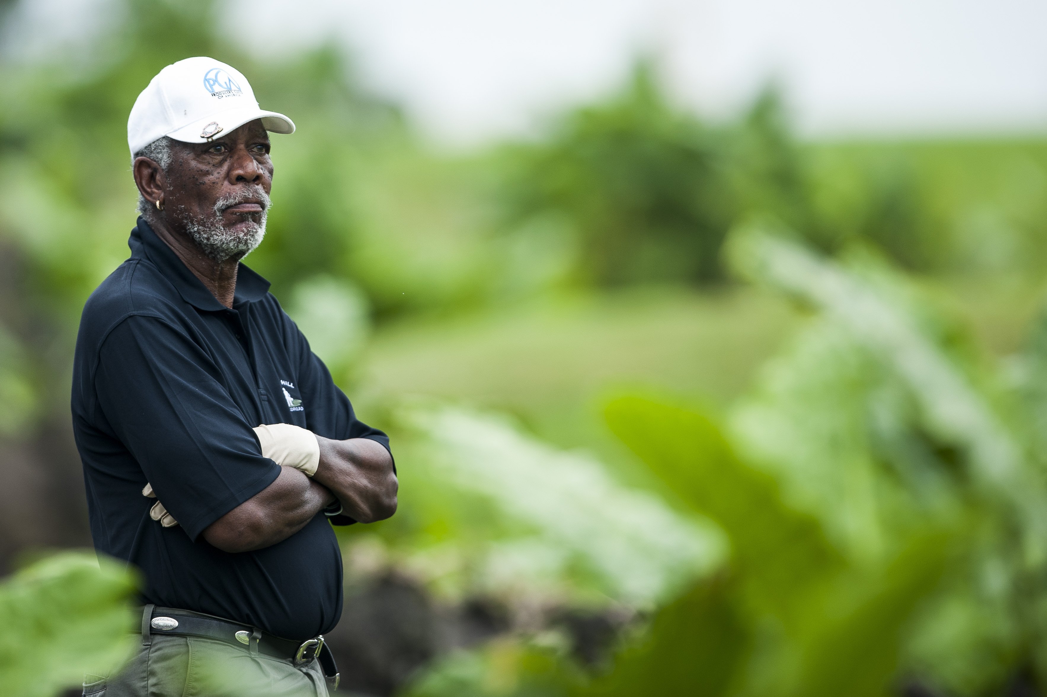 Morgan Freeman Transformed 124-Acre Ranch into Bee Sanctuary & Feeds ...