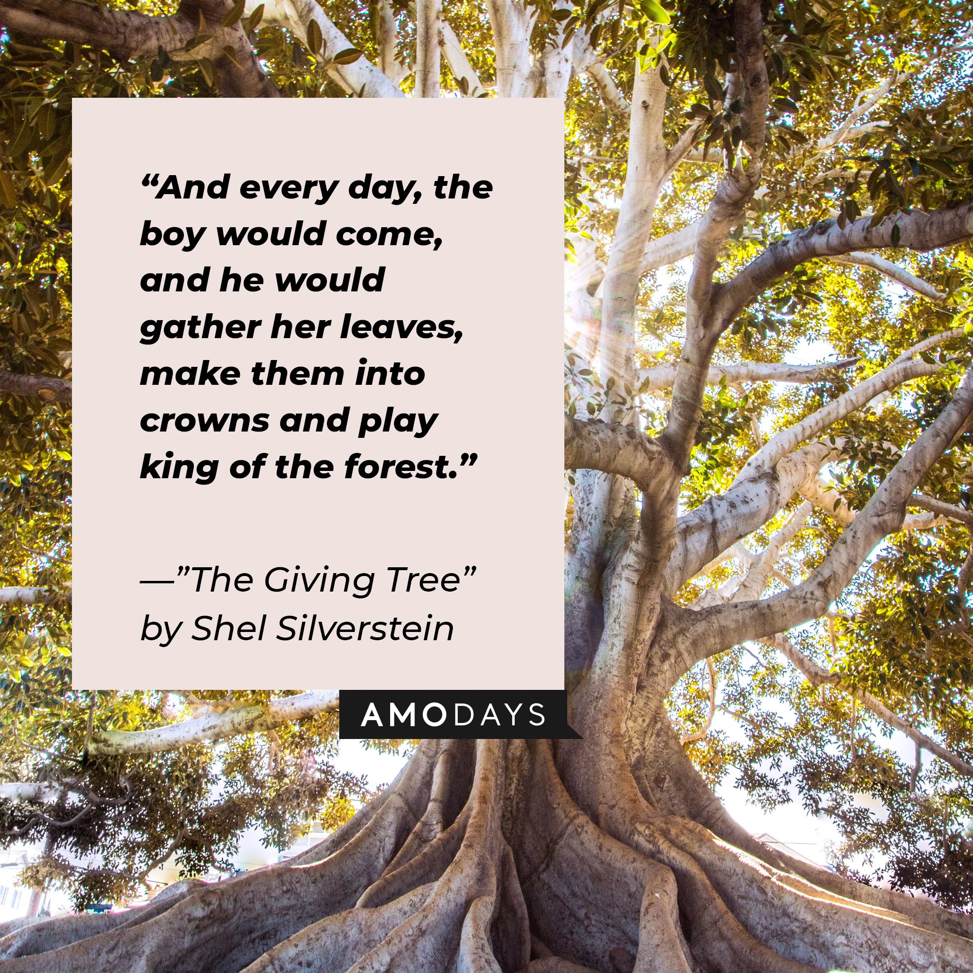 Read These 24 ‘The Giving Tree’ Quotes to Stir Your Soul