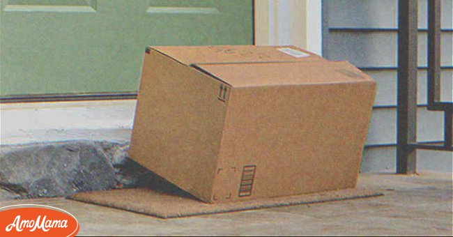 Boy Runs into Huge Box on Doorstep in the Winter Cold, Hears Loud Cry ...