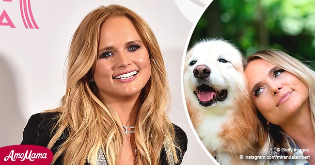 Fans Gush over Miranda Lambert's Cute Pic with a Dog as She Launches ...