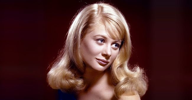'Sweet Bird of Youth' Star Shirley Knight — What We Remember the ...