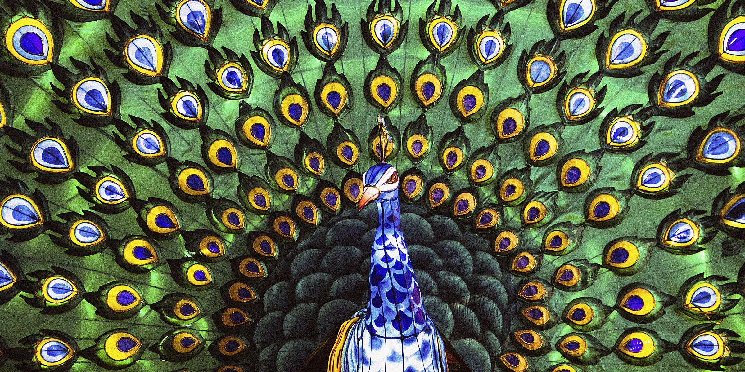 69 Peacock Quotes for a Mulitcolored Existence