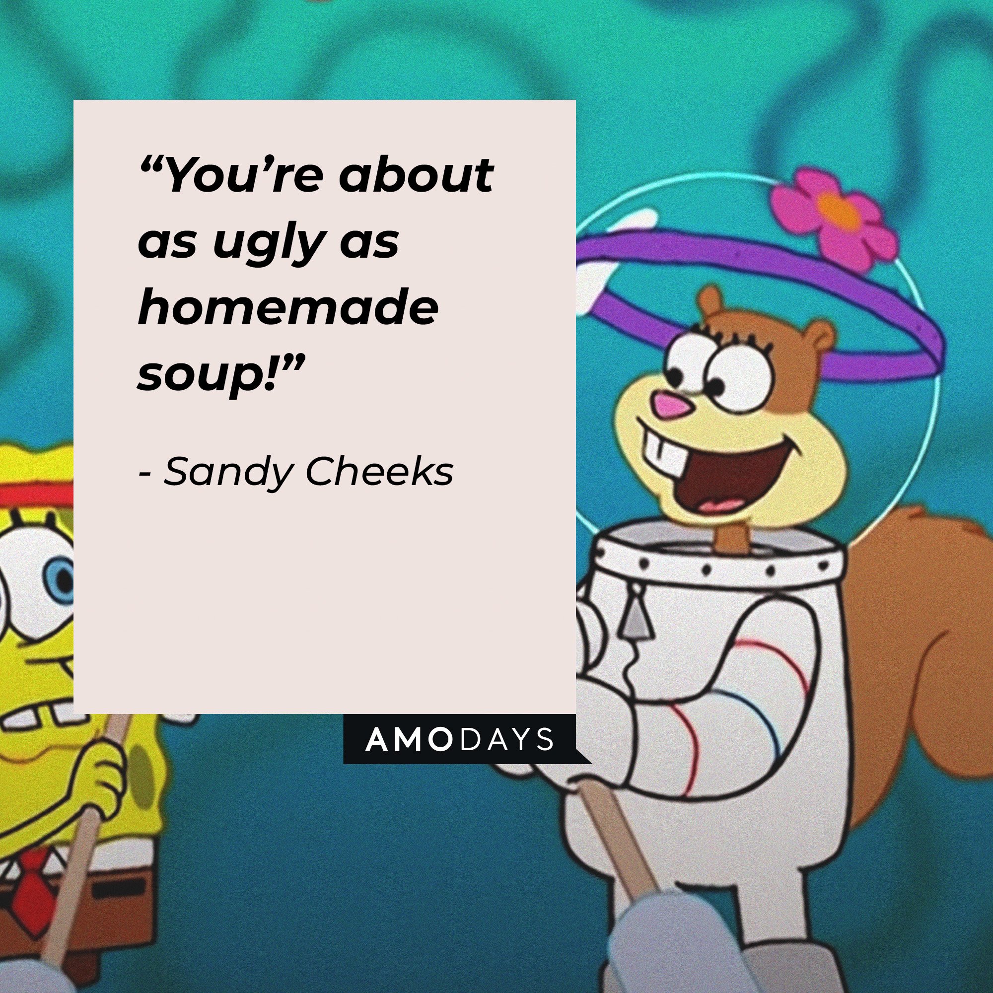 18 Sandy Cheeks Quotes