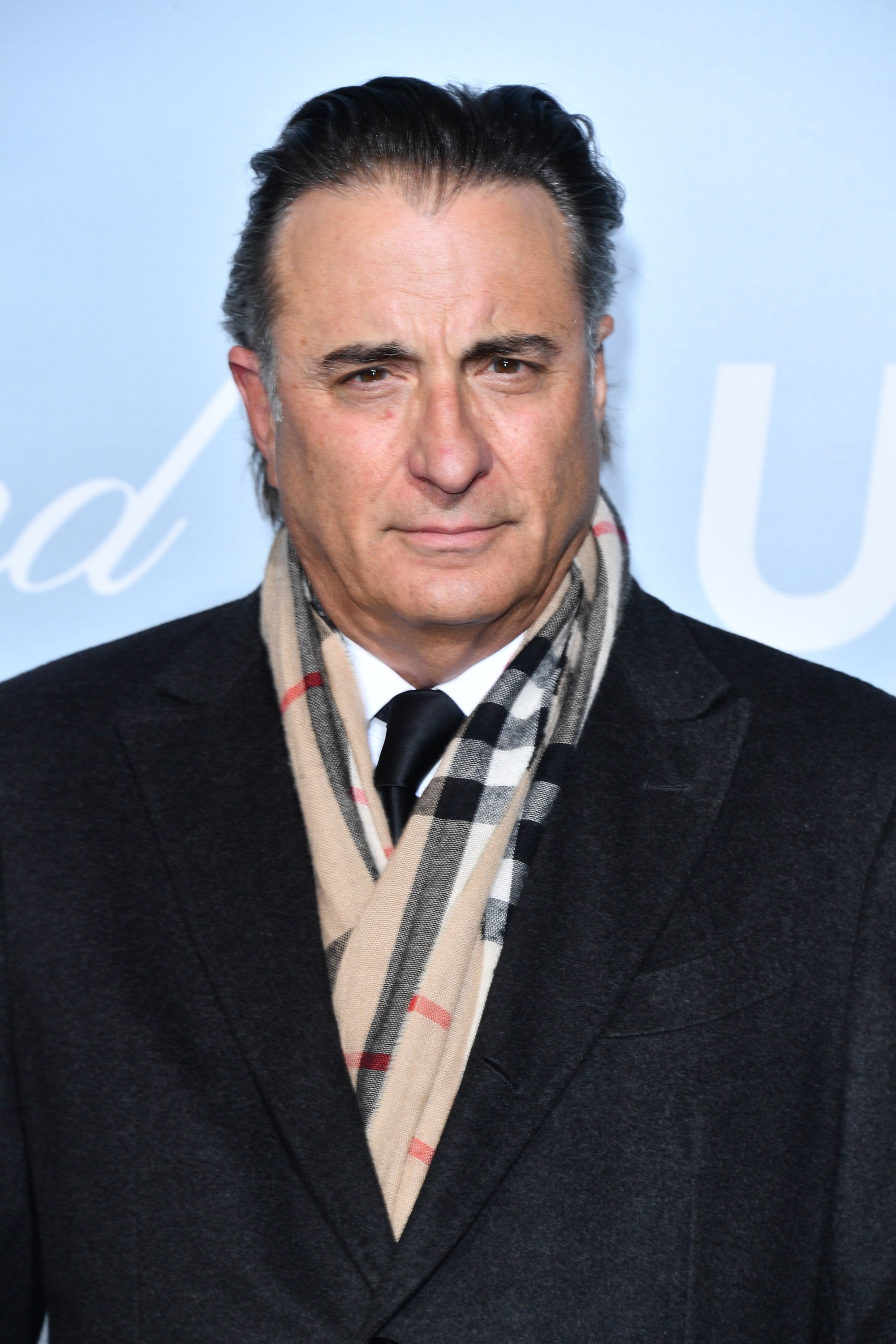 'The Untouchables's' Andy Garcia Fell for Wife of 39 Years at 1st Sight ...