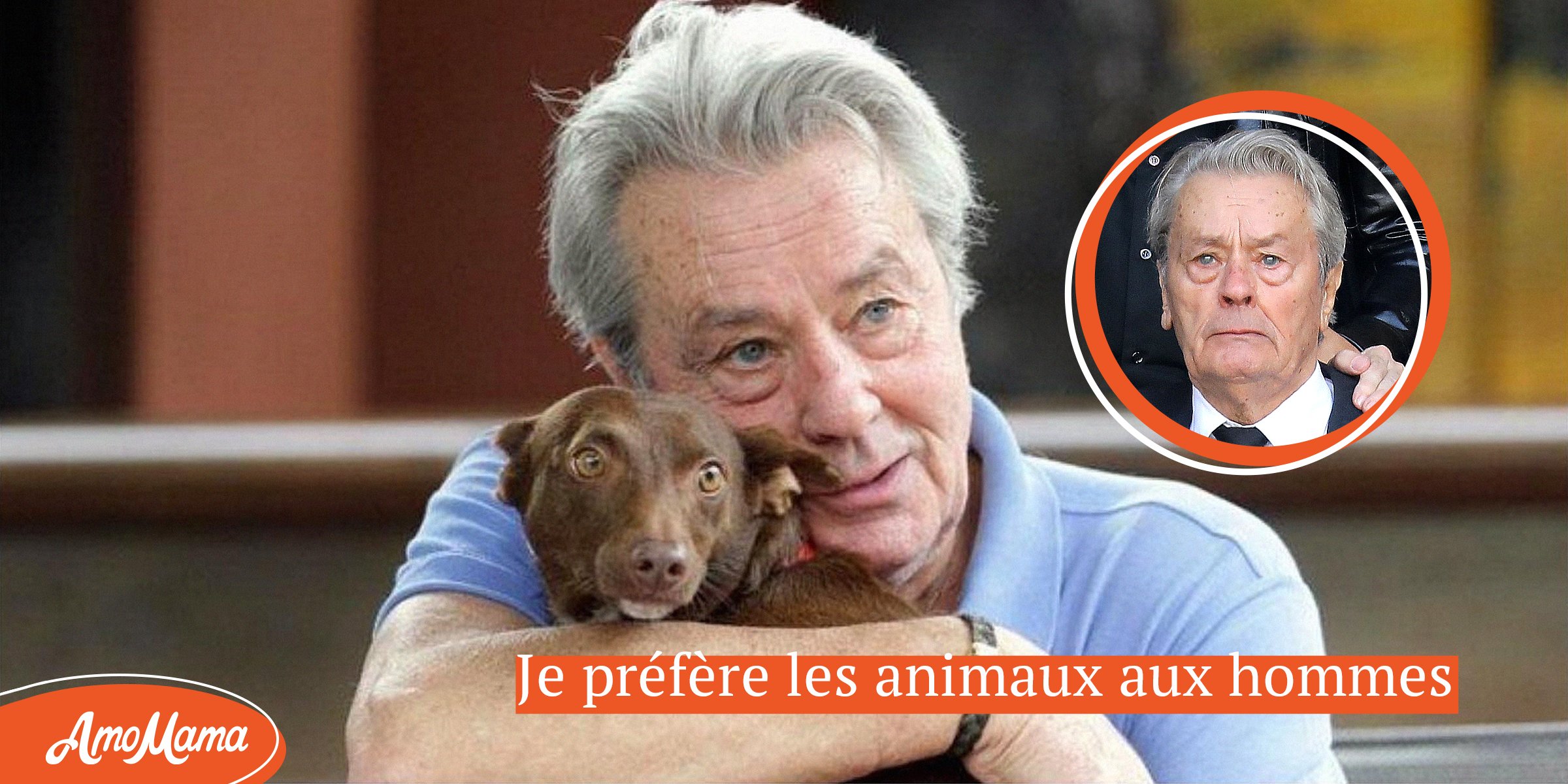 Le chien qu'Alain Delon a sauvé de ses brûlures corporelles est décédé ...