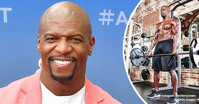Terry Crews Shares a Defined Photo from His Gym Workout — Check Out His ...