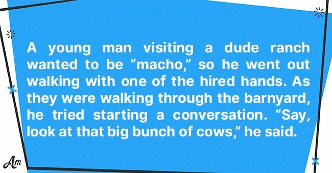 Daily Joke: Young Guy Visiting a Dude Ranch for the 1st Time Tries to ...