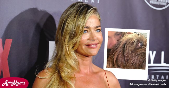 Denise Richards from RHBH Shares Touching Tribute to Her Late Dog Louie