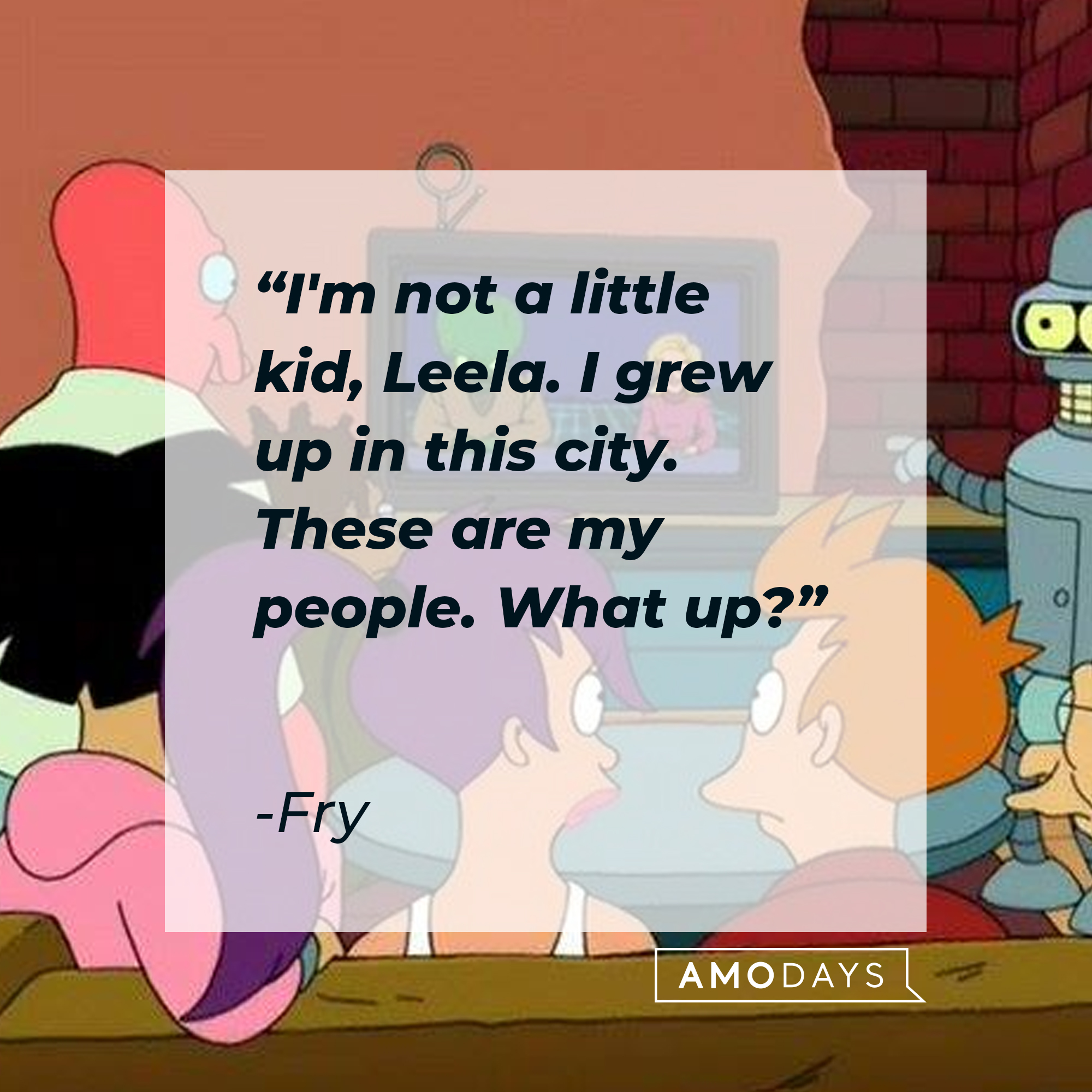 79 Fry Futurama Quotes Hilarious Interpretations Of The Future