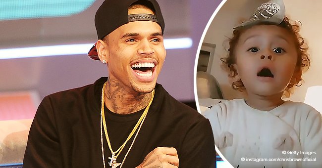 Watch Chris Brown's Son Aeko's Sweet Reaction to a Pigeon on His Head ...