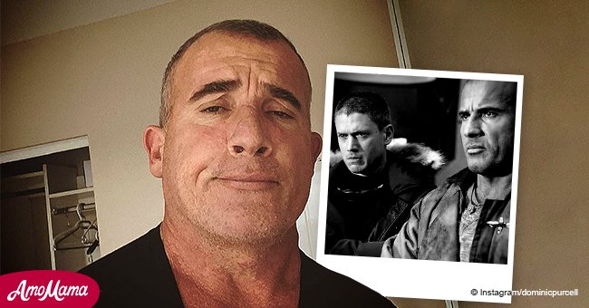 'Prison Break' Star Dominic Purcell Confirm the Show's 6th Season — See ...
