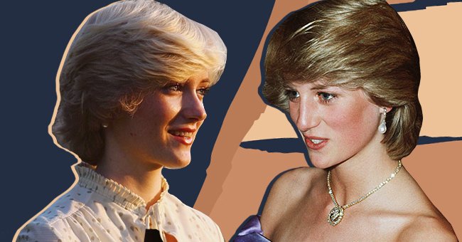 Qui est Rose Van Rijn, le double de la Princesse Diana, qui a submergé ...