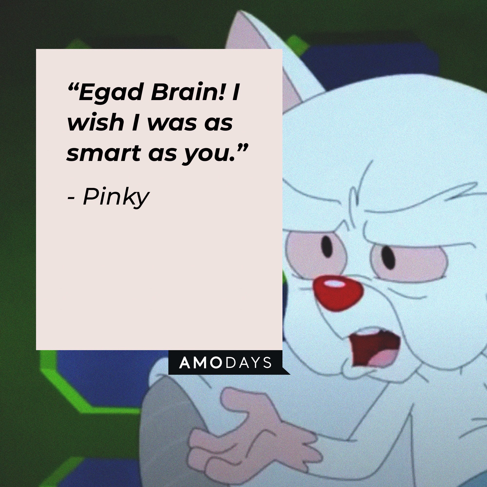 165 ‘Pinky and the Brain’ Quotes Loved by Fans Worldwide