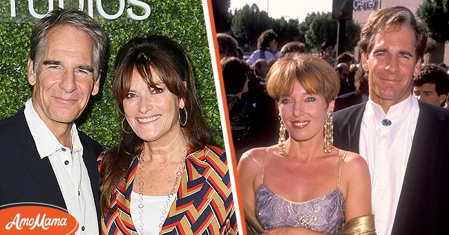 Scott Bakula Took 15 Years to Propose to ‘NCIS’ Co-star after His 1st ...