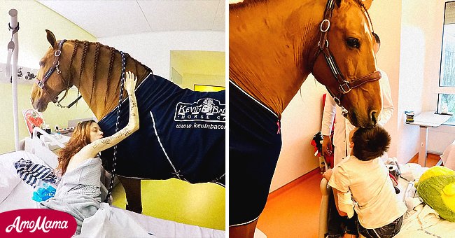 Meet Doctor Peyo, the Therapy Horse Comforting Cancer Patients in ...