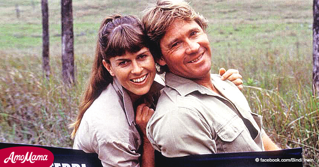 Terri Irwin Reveals How She First Met 'Crocodile Hunter' Husband Steve ...