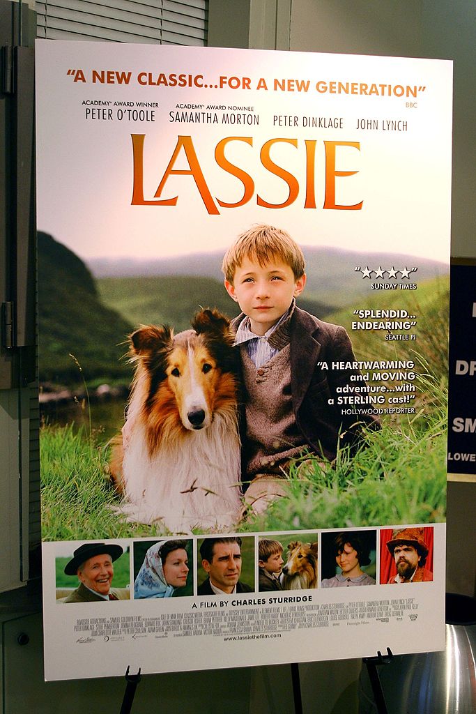 20 Facts about 'Lassie' You Might Not Know
