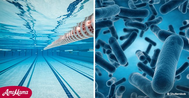 Dangerous parasites and bacteria may be lurking in public pools, study ...