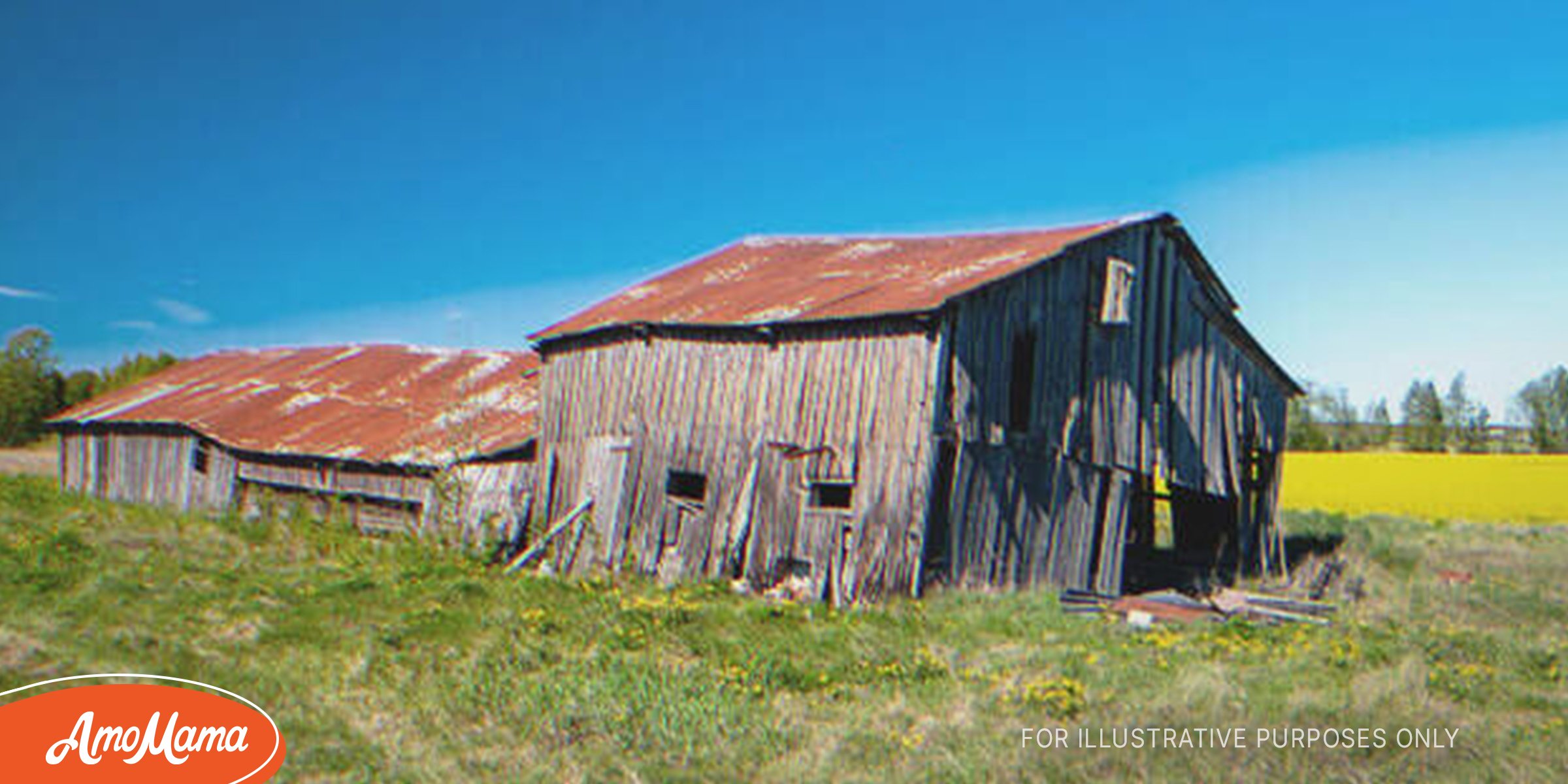 Men Mock Sister for Inheriting Old Barn, Money Falls at Her Feet as She ...