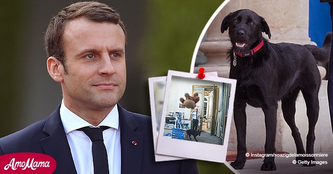 La photographe d’Emmanuel Macron poste une photo du Président jouant ...