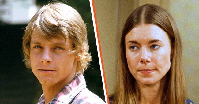 Mark Hamill Dated TV Sister Anne Wyndham Who's Now Married to Another ...