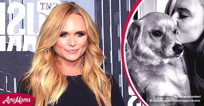 Miranda Lambert Shares Pictures of Her Dogs for 'National Mutt Day ...
