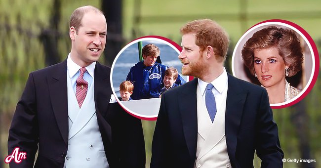 Harry and William Regretted Their Last Phone Call with Princess Diana ...