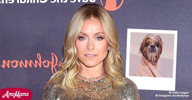 Kelly Ripa Comments on Reality of Quarantine with Adorable Bath Photo ...