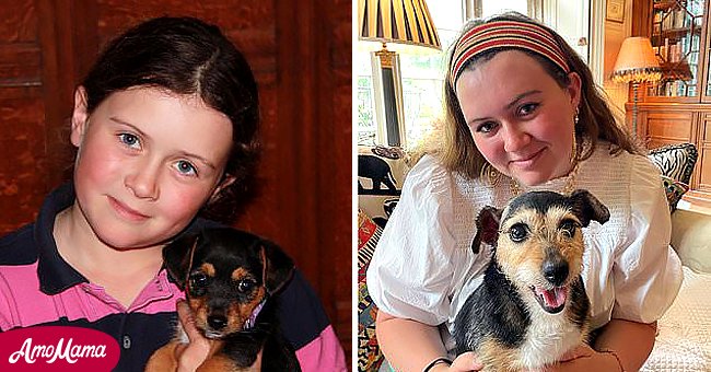 Dog Is Found Just a Few Miles from Her Home 11 Years after Vanishing ...