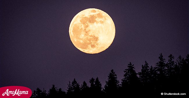 'Wolf Moon' Is the 1st Full Moon in January — Discover the Time and ...