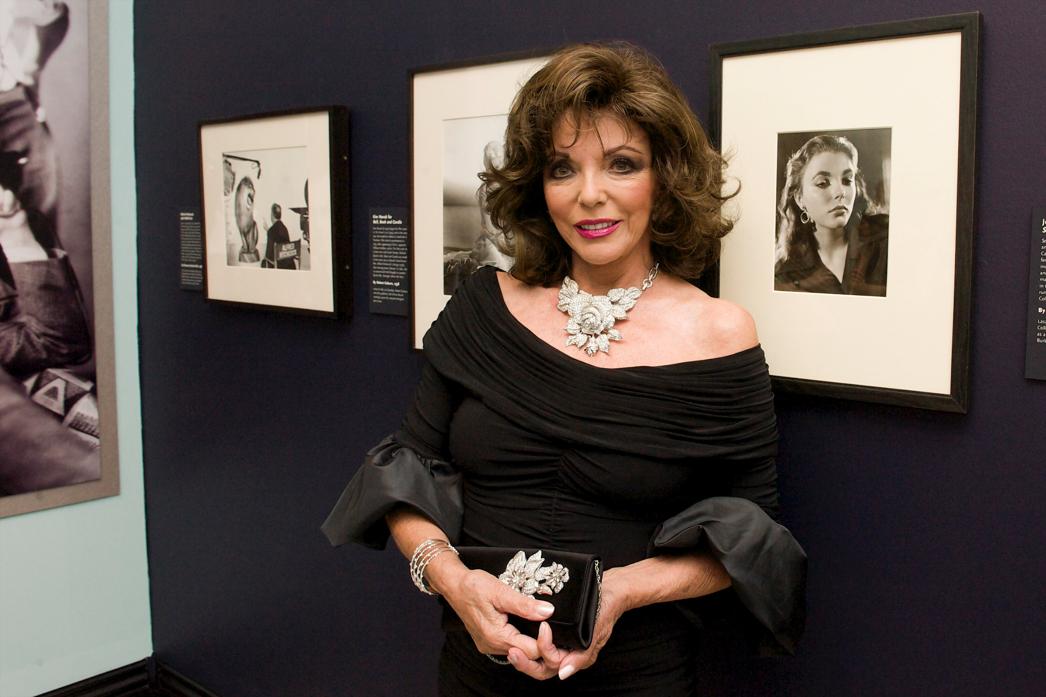 Joan Collins Blasted for Using 'Fillers' & 'Wig' — She Looks Stunning ...