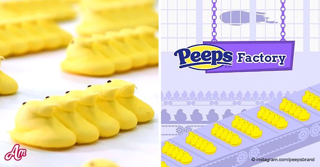 Peeps is Introducing New Flavours of Its Iconic Marshmallow Treats ...