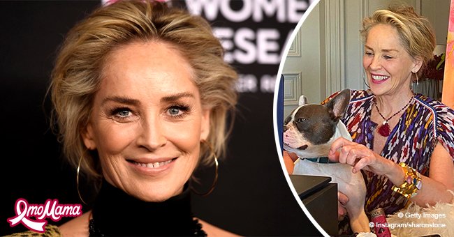 Here's Why 'Basic Instinct' Star Sharon Stone Says She Is Done with Dating