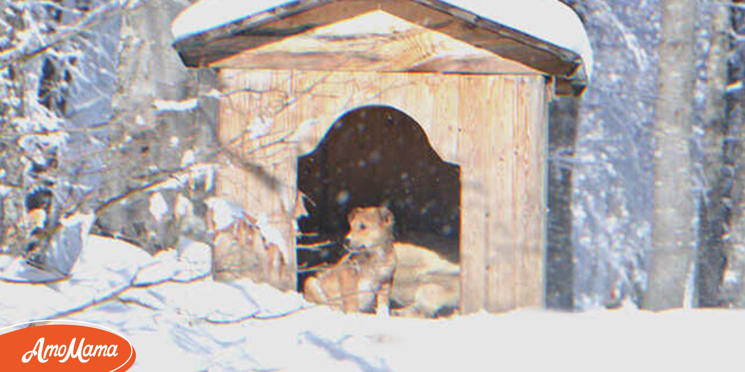 Poor Boy Finds Old Dog House, Dog Enters It and Comes Out with Envelope ...