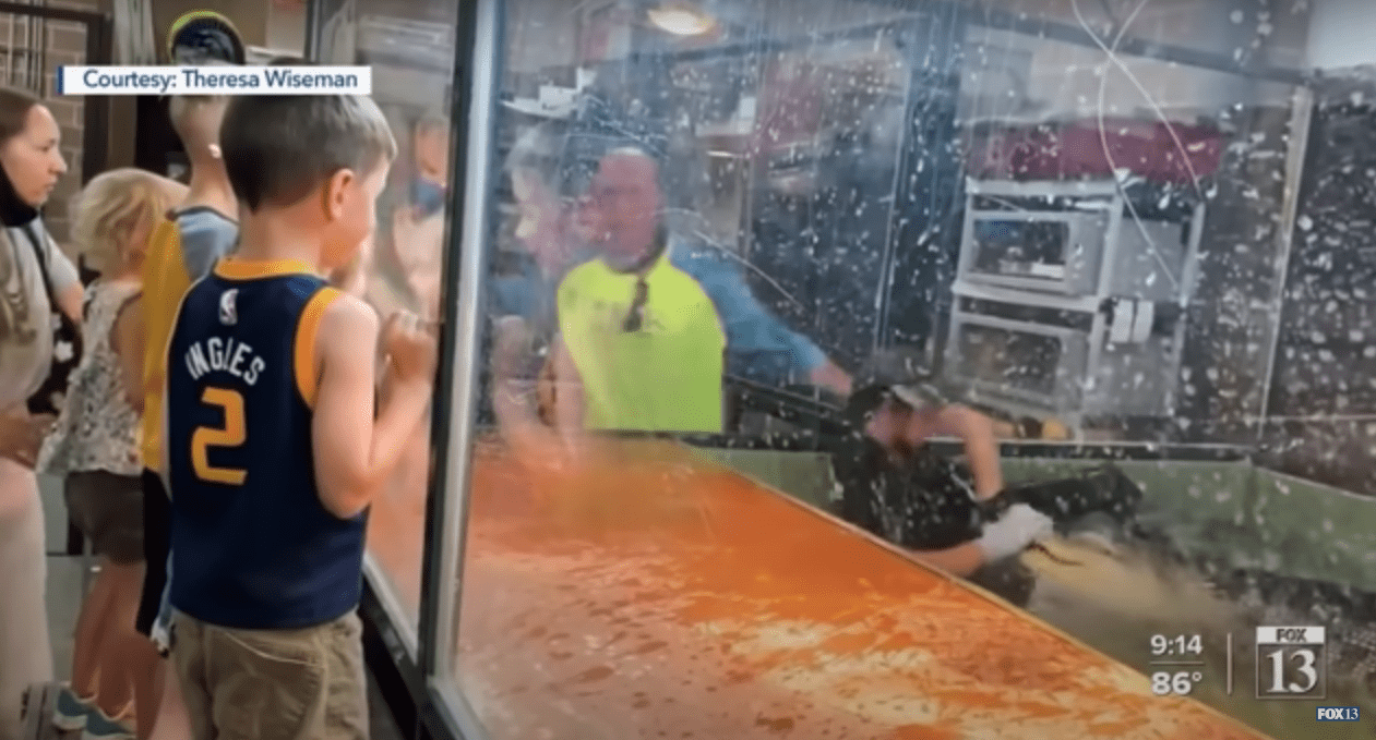 Woman Who Was Attacked by Alligator Opens up about the Harrowing Ordeal