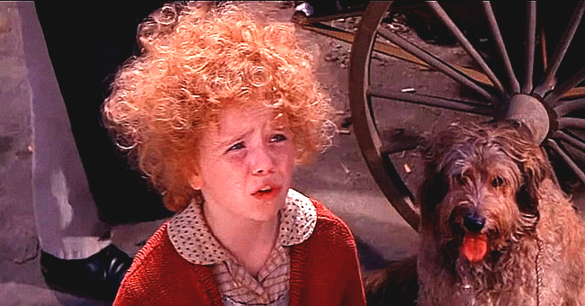 Little Girl Who Played Annie Is All Grown up and Almost Looks ...