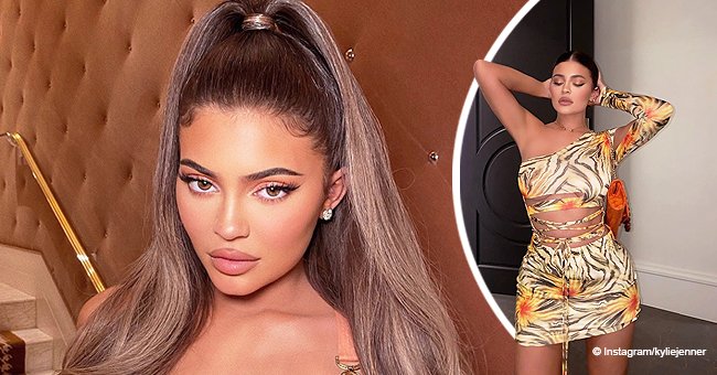 Kylie Jenner Stuns Revealing Her Fit Figure in a Tiger-Print Dress in ...