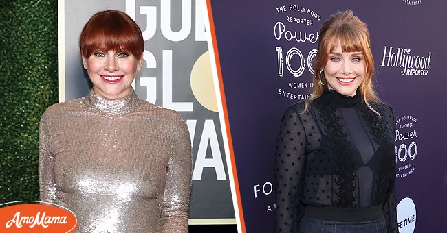 Bryce Dallas Howard’s Weight - Look inside Her Struggles with Extra ...