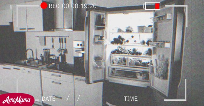 Old Lady's Food Keeps Disappearing from Her Fridge, She Hides a Camera ...