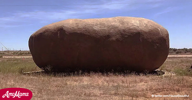 This Giant Potato Is Rented Out and Anyone Can Spend the Night Inside